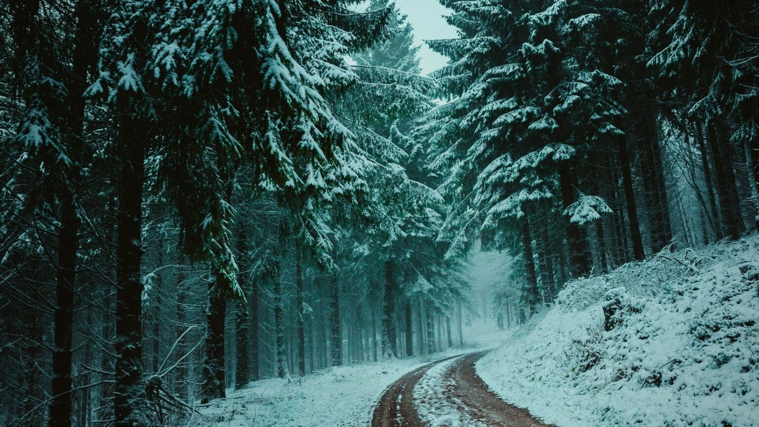 Lindra psykisk ohälsa med böcker i coronatider | ALDRIG MER UTMATTAD